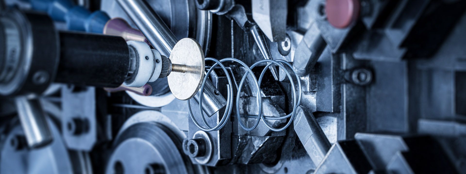 Startseite - Sauter Federn - Muskulatur der Technik